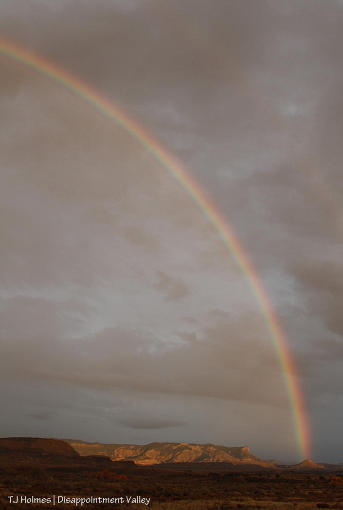 The gold | Spring Creek Basin Mustangs