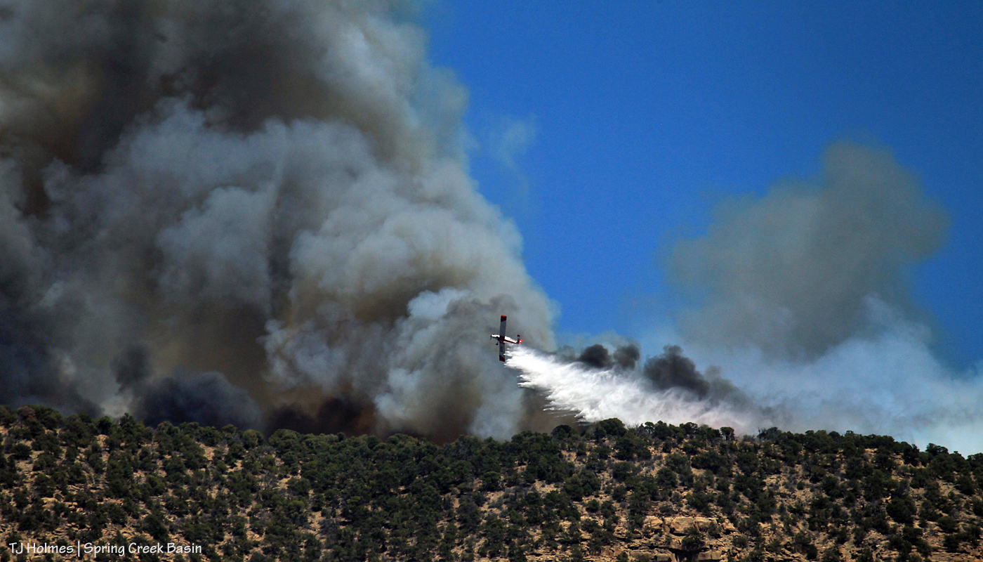 Horse Park Fire | Spring Creek Basin Mustangs
